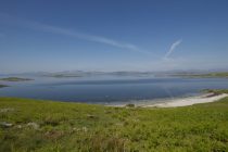 Kilmory Knap Chapel – part one – The Hazel Tree