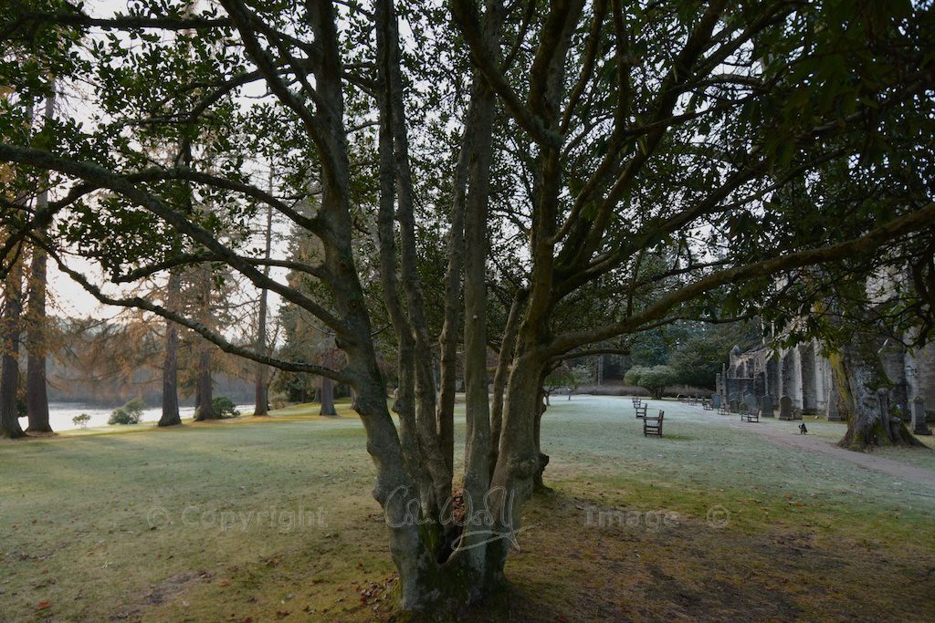 Dunkeld Cathedral: Scotland’s sacred heart – The Hazel Tree