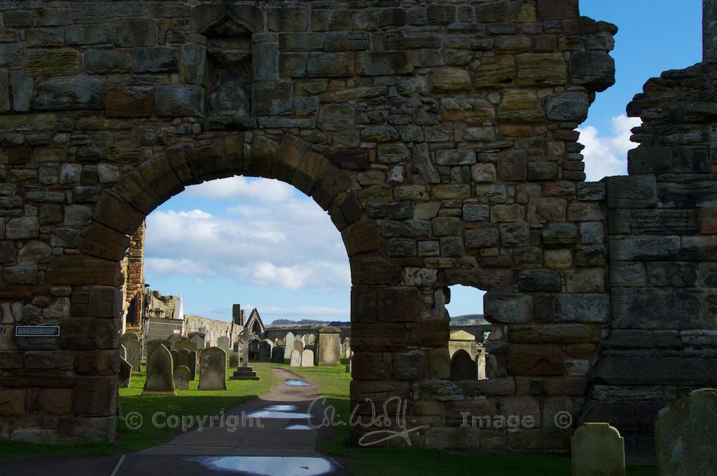 St Andrews: the glorious Cathedral – The Hazel Tree