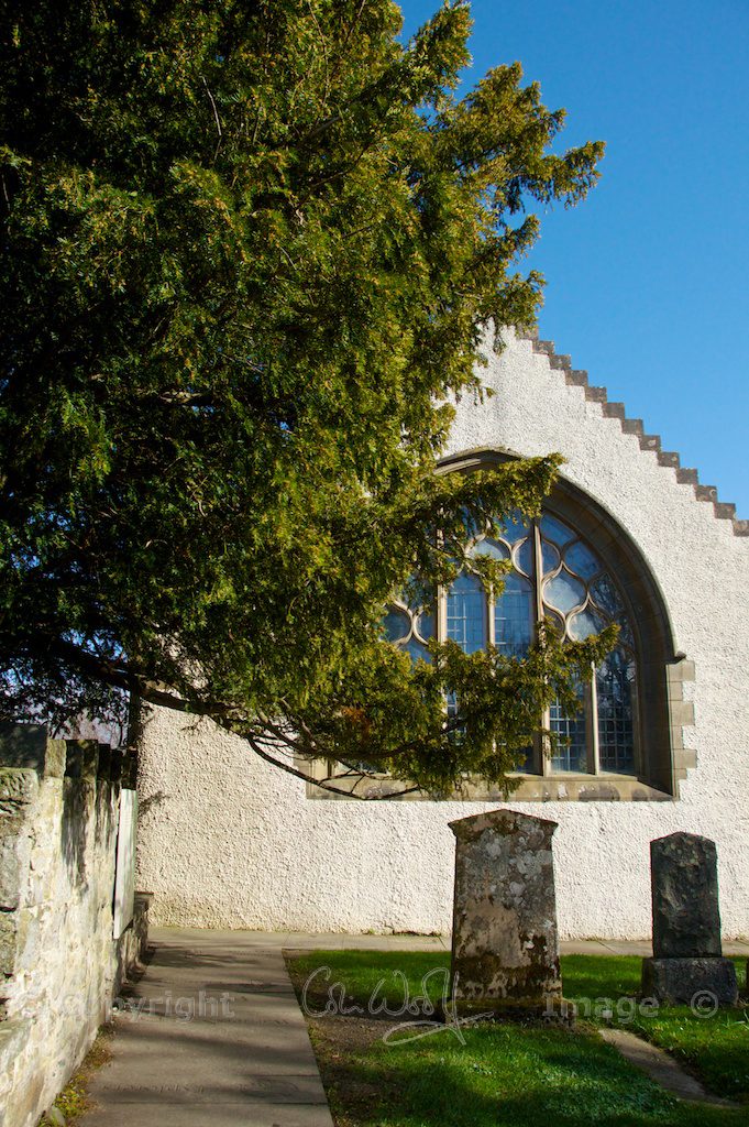 The Fortingall Yew: symbol of eternity – The Hazel Tree