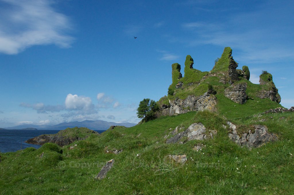 Castle Coeffin – The Hazel Tree