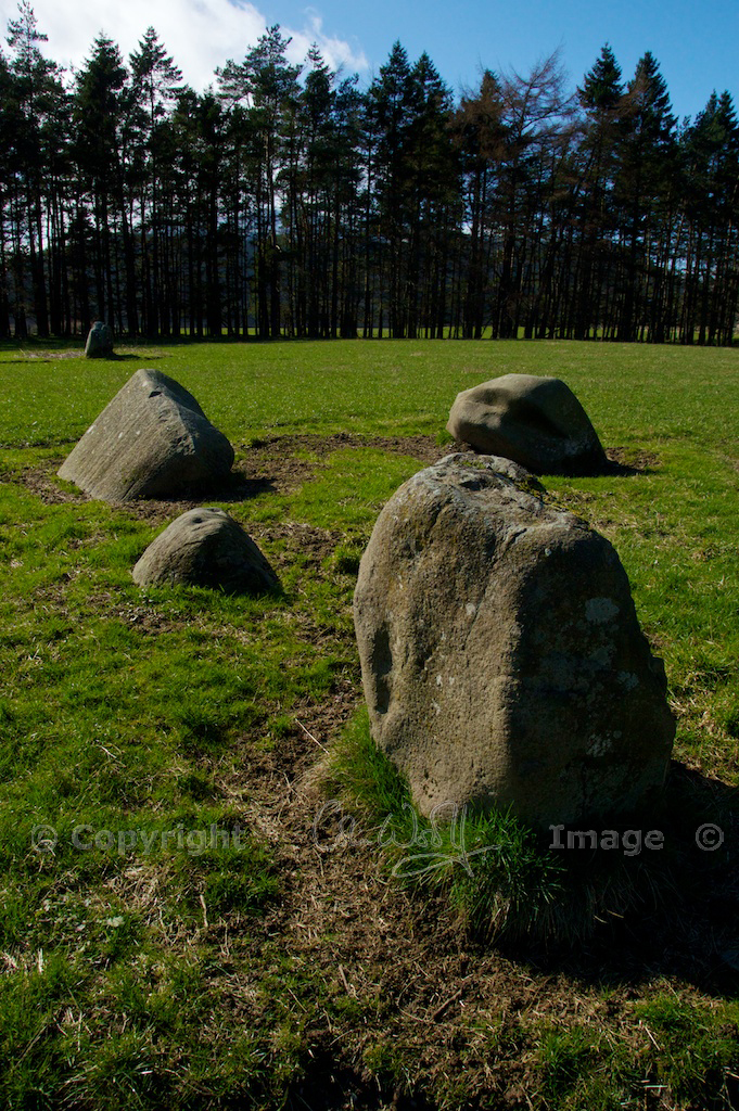 The stone circles of Fortingall – The Hazel Tree