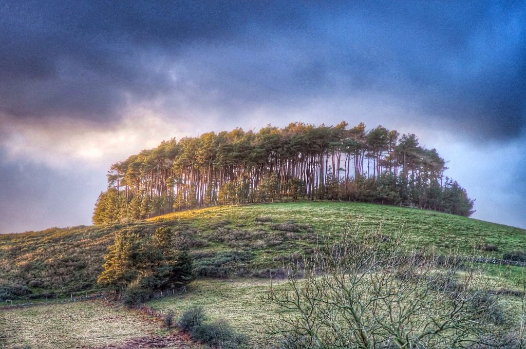 Book review: ‘The Old Straight Track’ by Alfred Watkins – The Hazel Tree