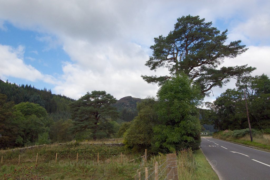 An old graveyard near Callander – The Hazel Tree