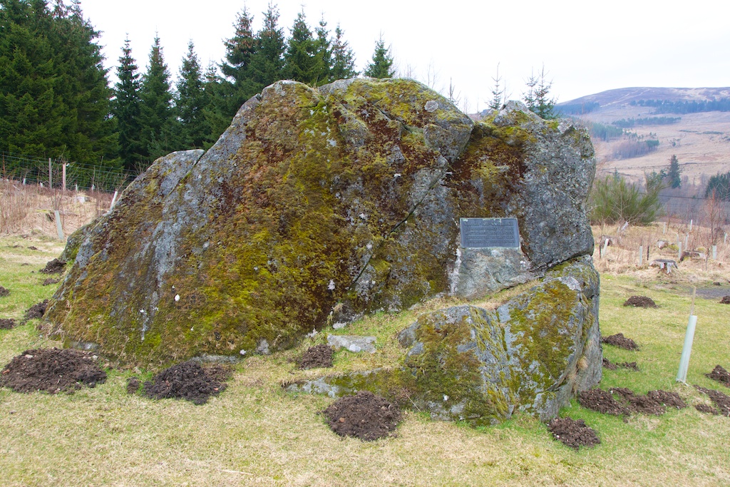 The Butter Bridge, Glen Kinglas – The Hazel Tree