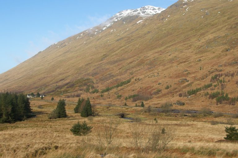 The Butter Bridge, Glen Kinglas – The Hazel Tree