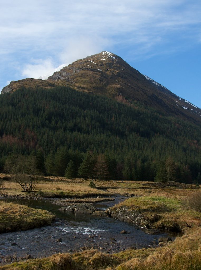 The Butter Bridge, Glen Kinglas – The Hazel Tree