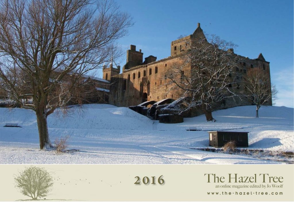 Calendar cover 2016 – The Hazel Tree