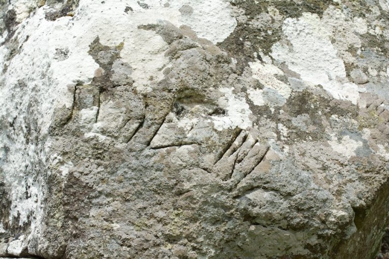 Dunadd: behold the king! – The Hazel Tree