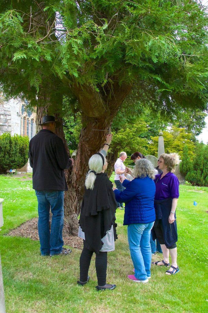 Dowsing at Torphichen and Cairnpapple – The Hazel Tree