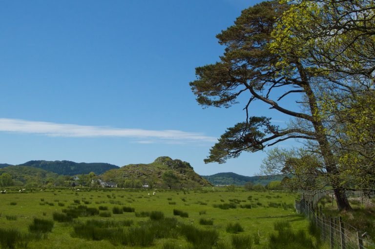 Dunadd: behold the king! – The Hazel Tree