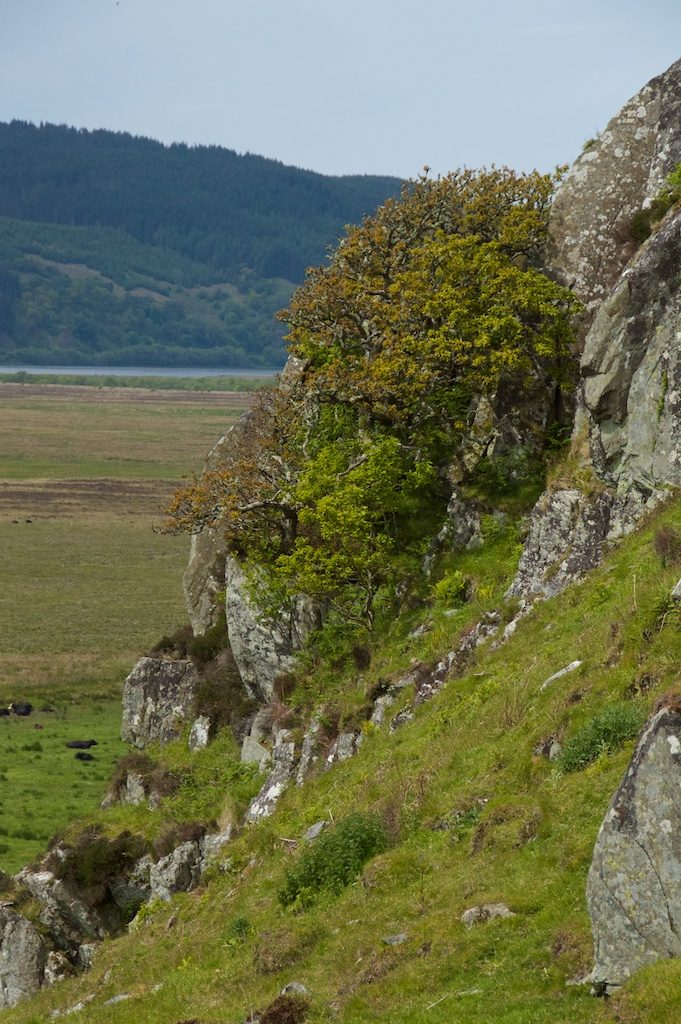 Dunadd: behold the king! – The Hazel Tree