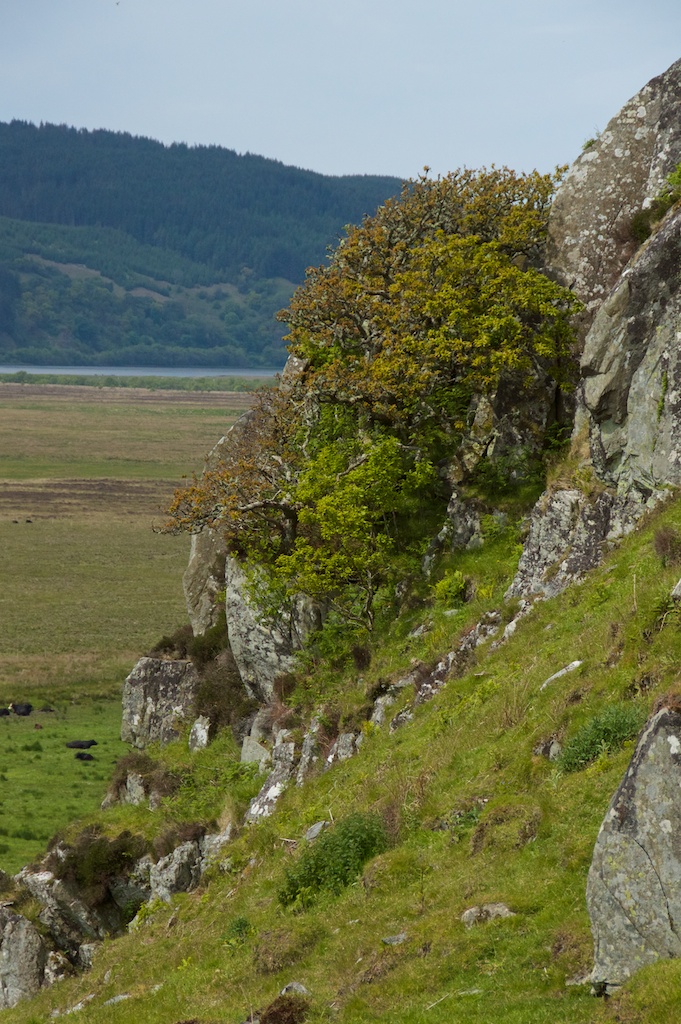 Dunadd: behold the king! – The Hazel Tree