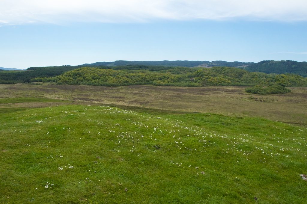 Dunadd: behold the king! – The Hazel Tree