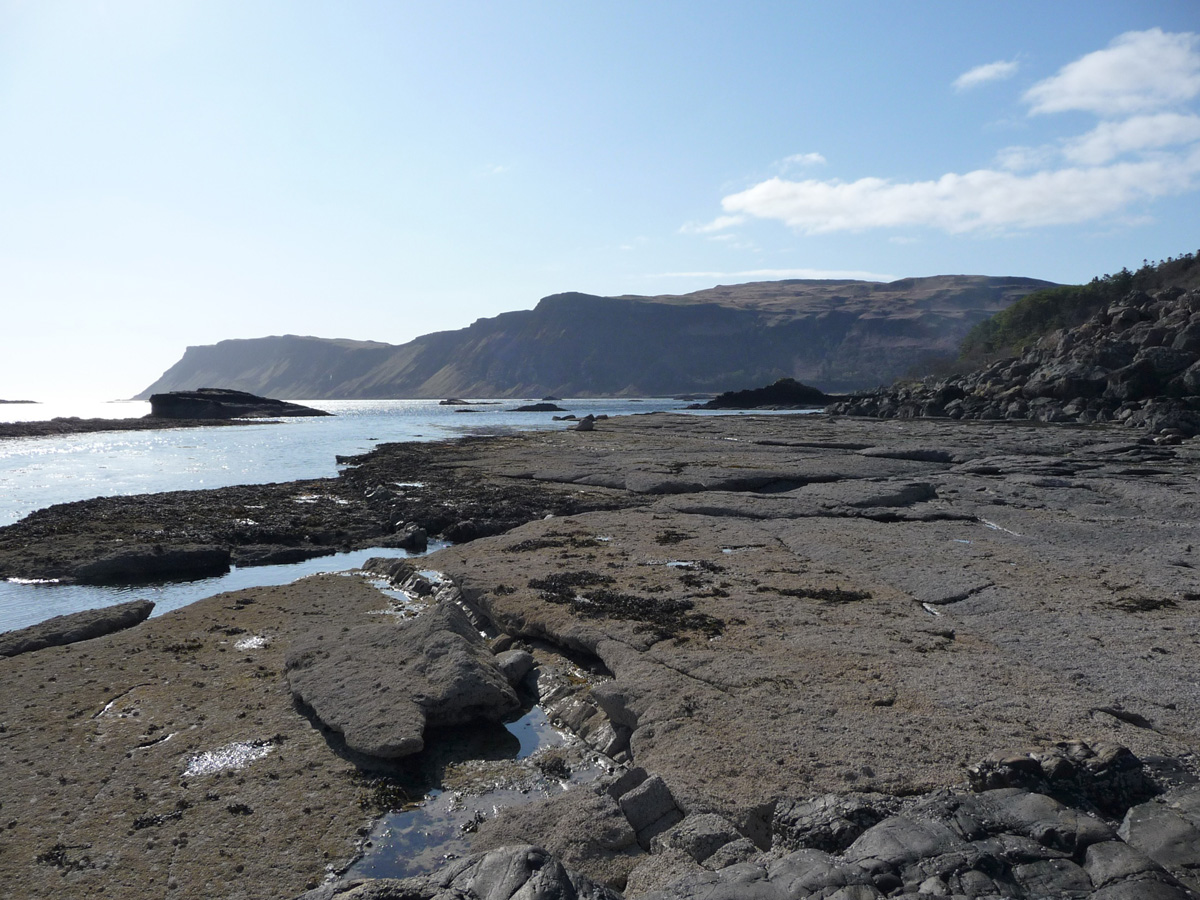 Fossils at Carsaig Bay – The Hazel Tree