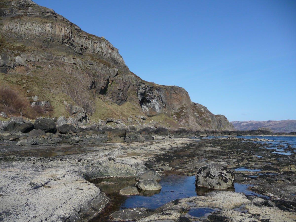 Fossils at Carsaig Bay – The Hazel Tree
