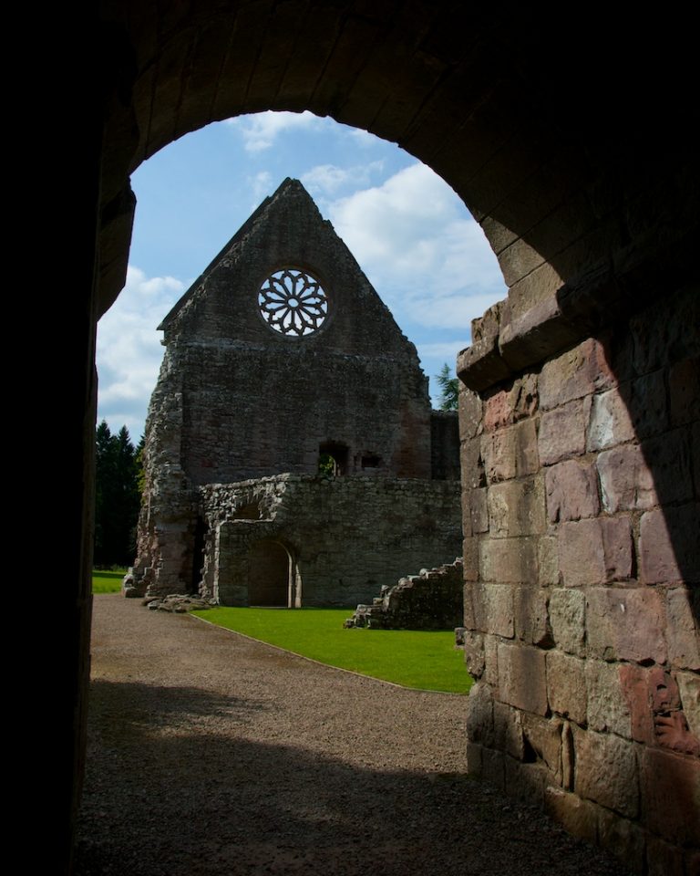 Dryburgh Abbey – The Hazel Tree