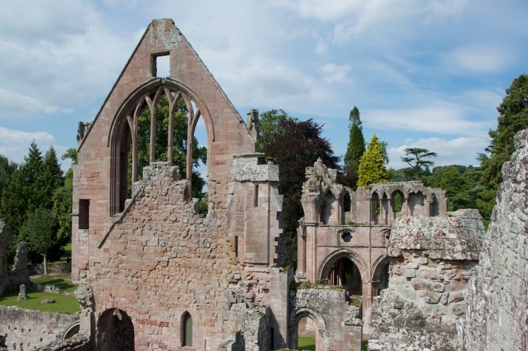Dryburgh Abbey – The Hazel Tree