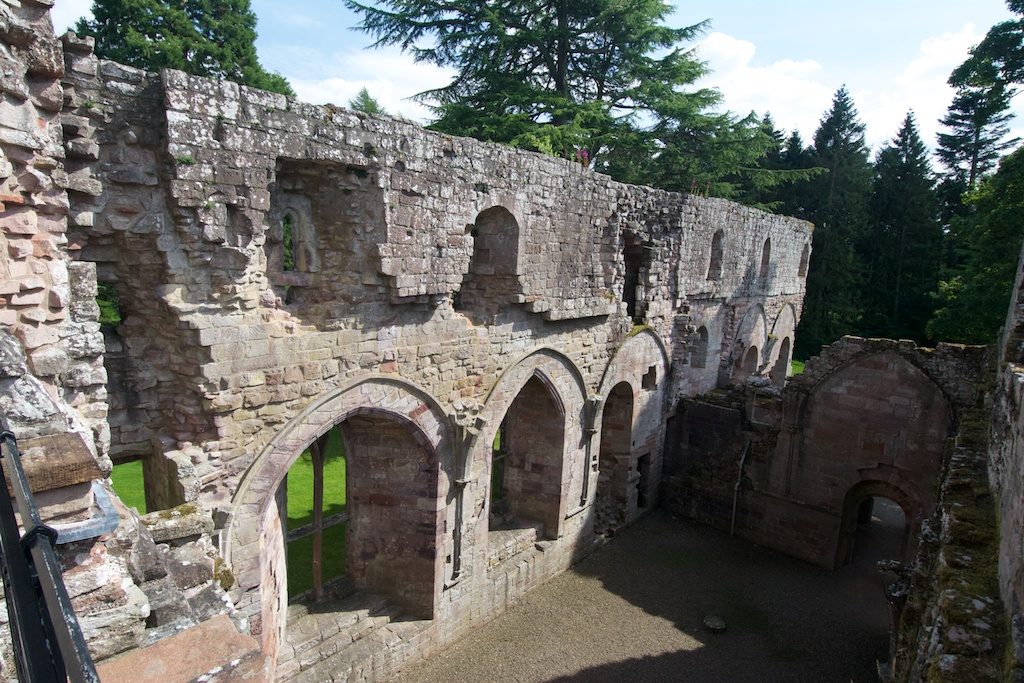 Dryburgh Abbey – The Hazel Tree