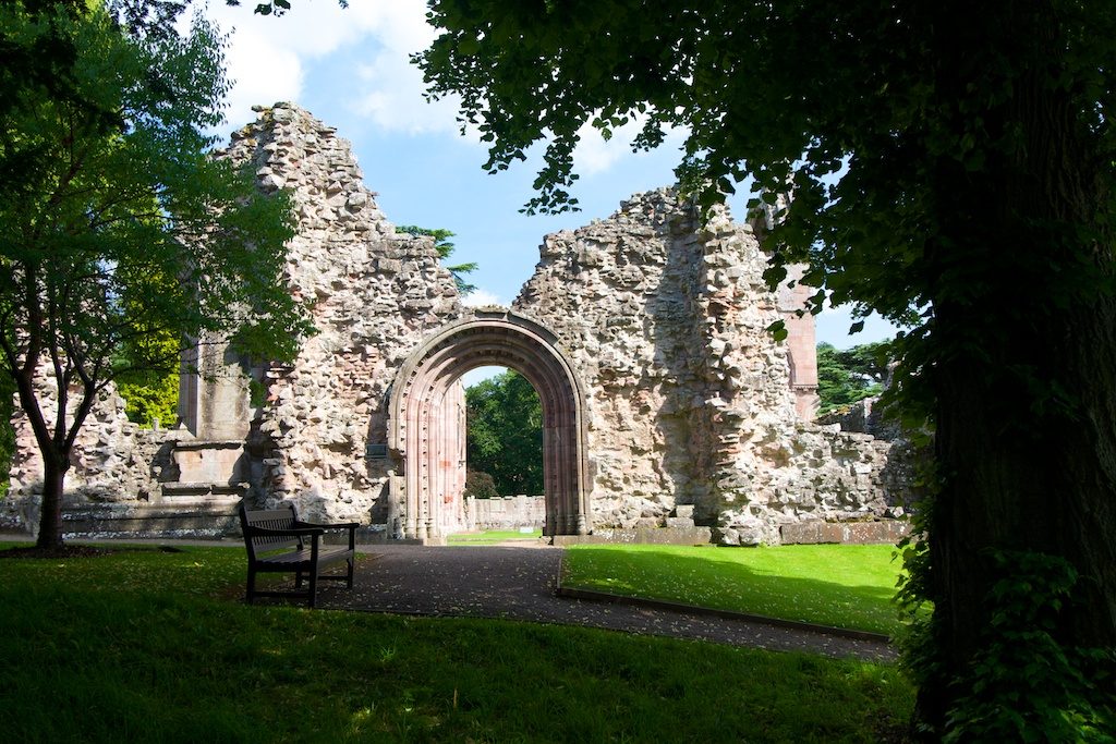 Dryburgh Abbey – The Hazel Tree