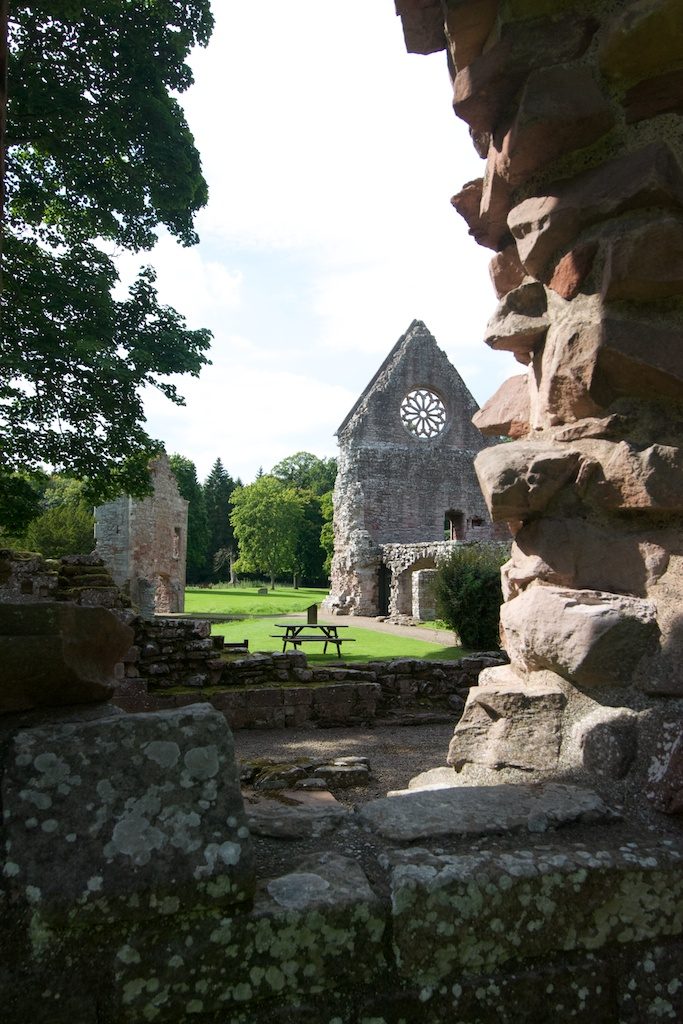 Dryburgh Abbey – The Hazel Tree