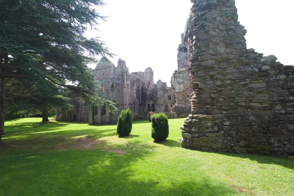 Dryburgh Abbey – The Hazel Tree
