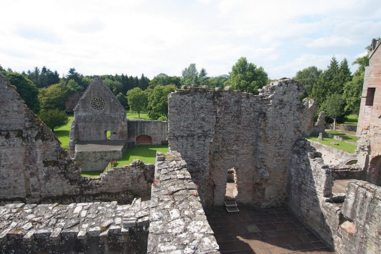 Dryburgh Abbey – The Hazel Tree