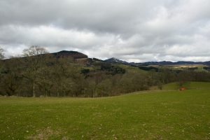 St Mary’s Church, Grandtully – The Hazel Tree