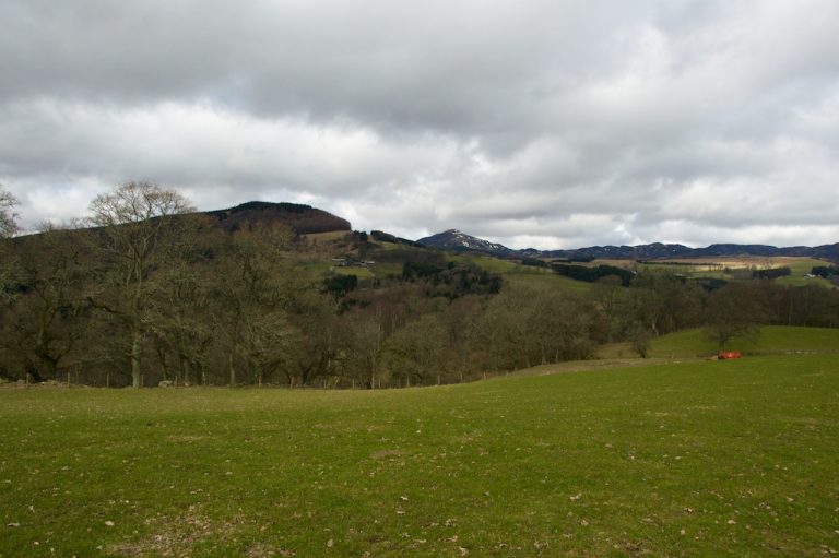 St Mary’s Church, Grandtully – The Hazel Tree