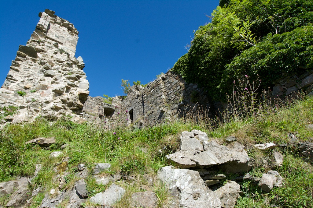 Old Castle Lachlan: loyalty and loss – The Hazel Tree