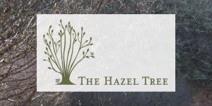 The Hazel Tree – by Jo Woolf