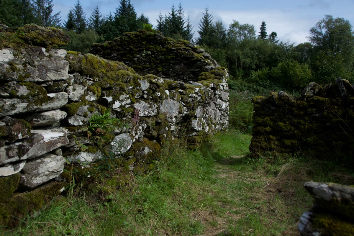 From Arichonan to Kilmory Oib – The Hazel Tree