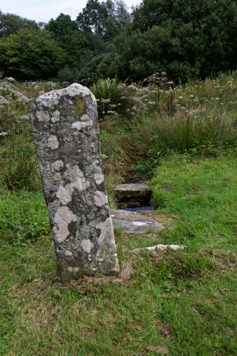 From Arichonan to Kilmory Oib – The Hazel Tree