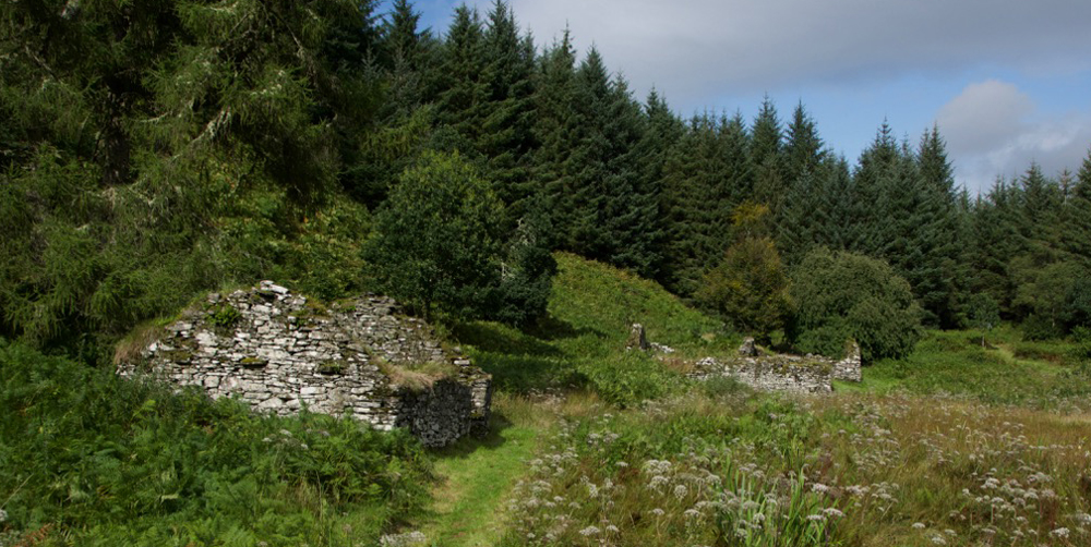 From Arichonan to Kilmory Oib – The Hazel Tree