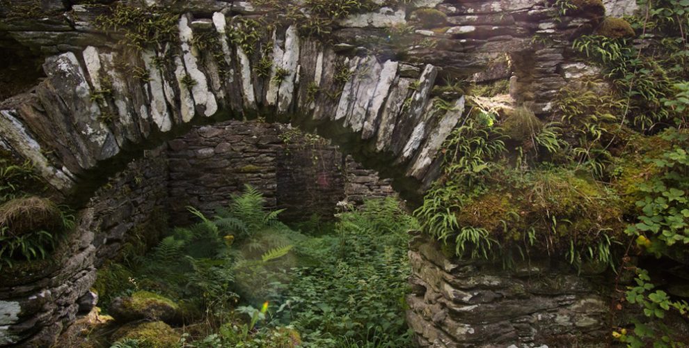 From Arichonan to Kilmory Oib – The Hazel Tree