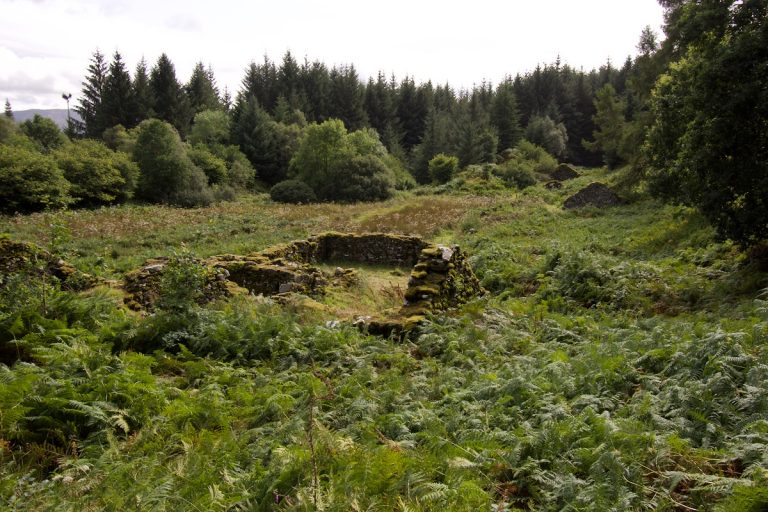 From Arichonan to Kilmory Oib – The Hazel Tree