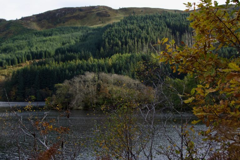 The road to Loch Avich – The Hazel Tree