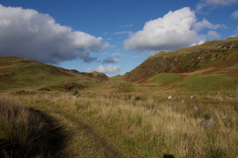 Rock art at Ormaig – The Hazel Tree