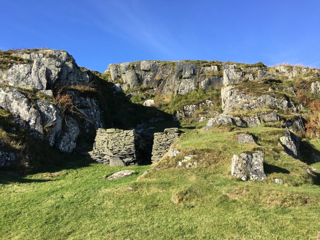 The secrets of St Cormac – The Hazel Tree