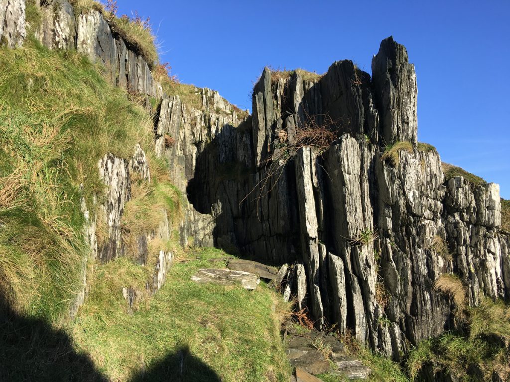 The secrets of St Cormac – The Hazel Tree