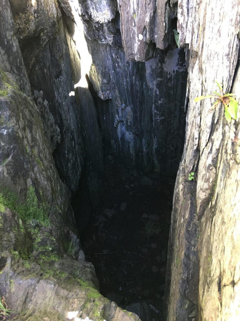 The secrets of St Cormac – The Hazel Tree