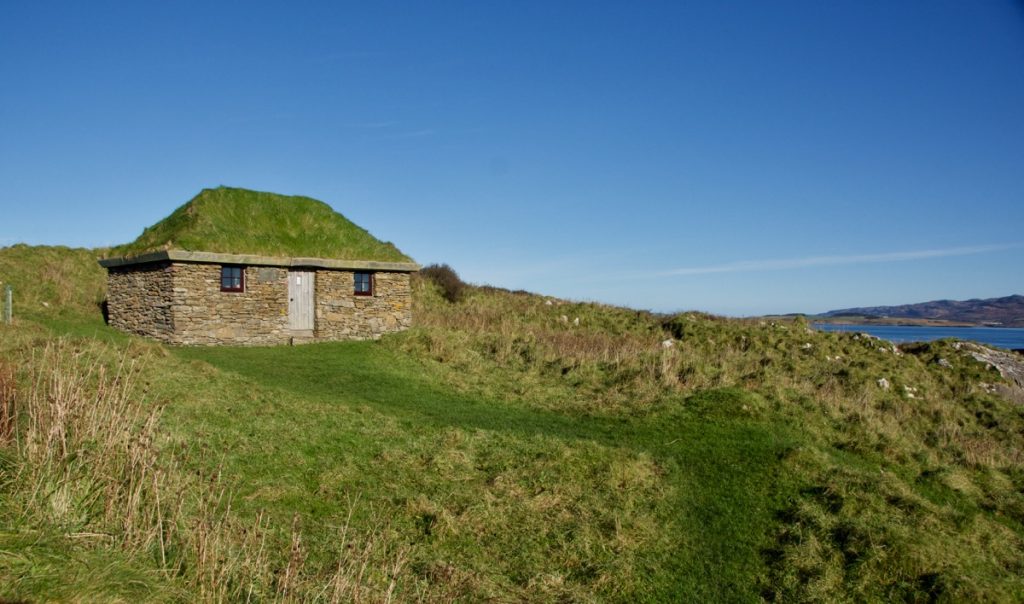 The secrets of St Cormac – The Hazel Tree