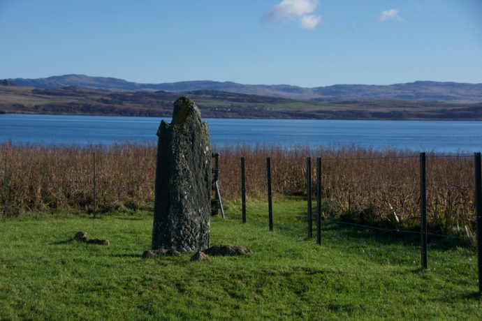 The secrets of St Cormac – The Hazel Tree