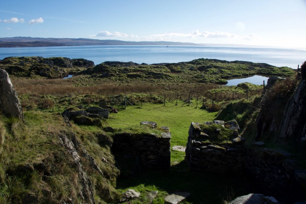 The secrets of St Cormac – The Hazel Tree