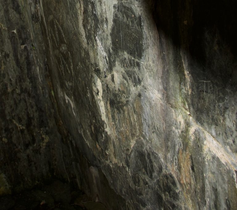 The secrets of St Cormac – The Hazel Tree