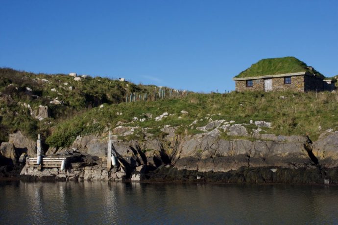 The secrets of St Cormac – The Hazel Tree