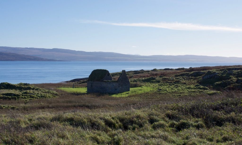 The secrets of St Cormac – The Hazel Tree