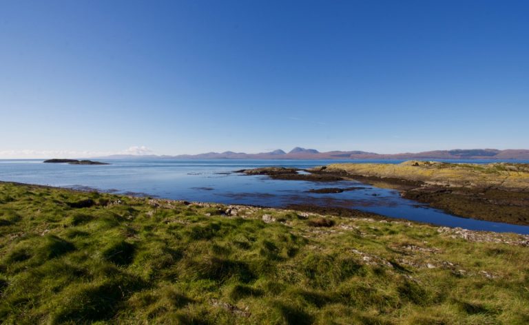 The secrets of St Cormac – The Hazel Tree