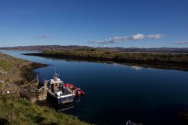 The secrets of St Cormac – The Hazel Tree