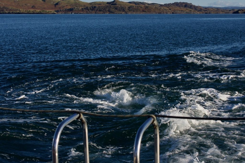 The secrets of St Cormac – The Hazel Tree